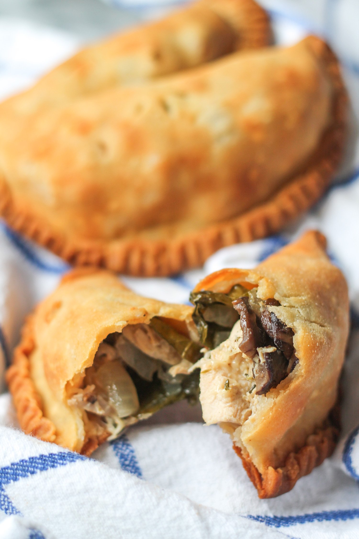 Chicken and Vegetable Hand Pies - thekittchen
