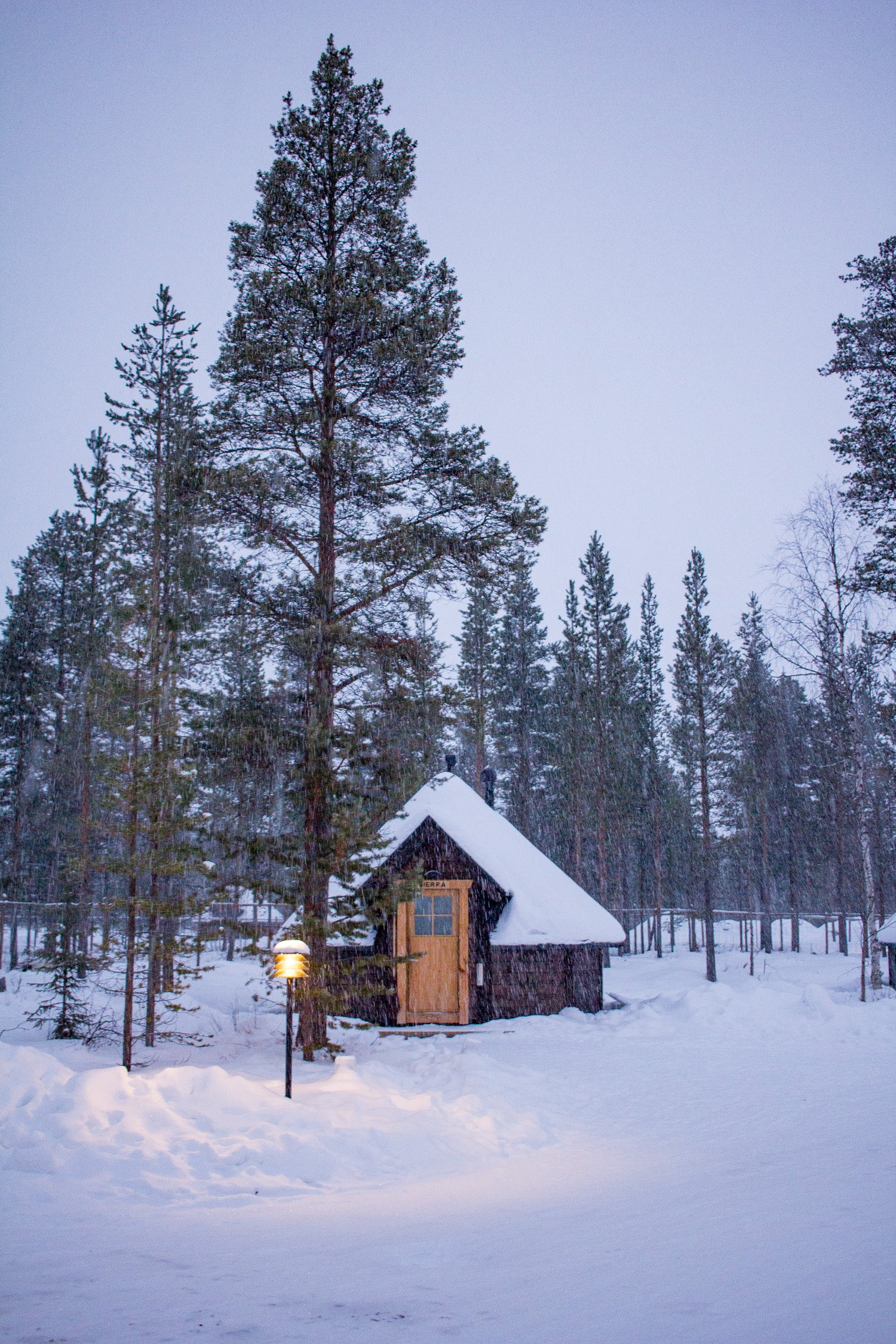 Why You Should Visit Lapland in Winter - thekittchen