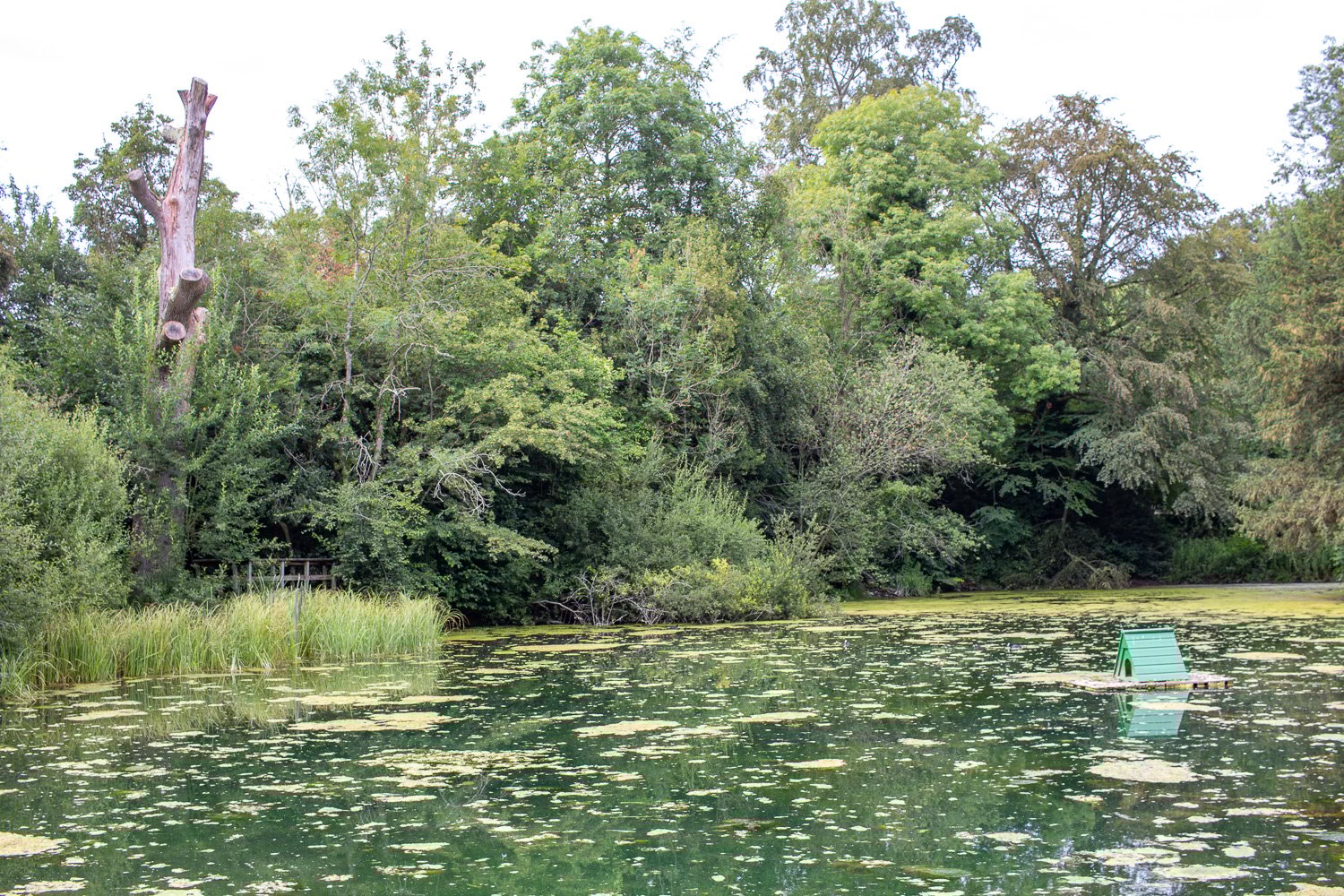 The Holiday Filming Locations Shere, Godalming, and Beyond - thekittchen