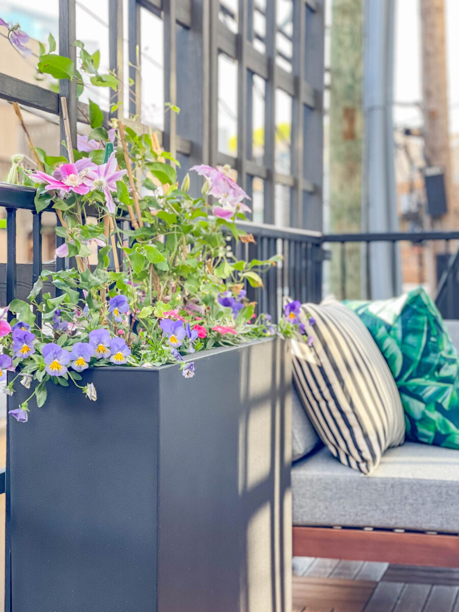 Chicago Balcony Design Reveal - thekittchen