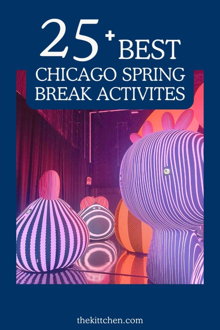 Best Chicago Spring Break Activities - thekittchen